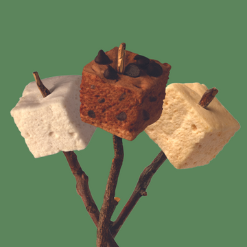 These Gourmet Marshmallows Make The Best S'mores Around – North Mallow